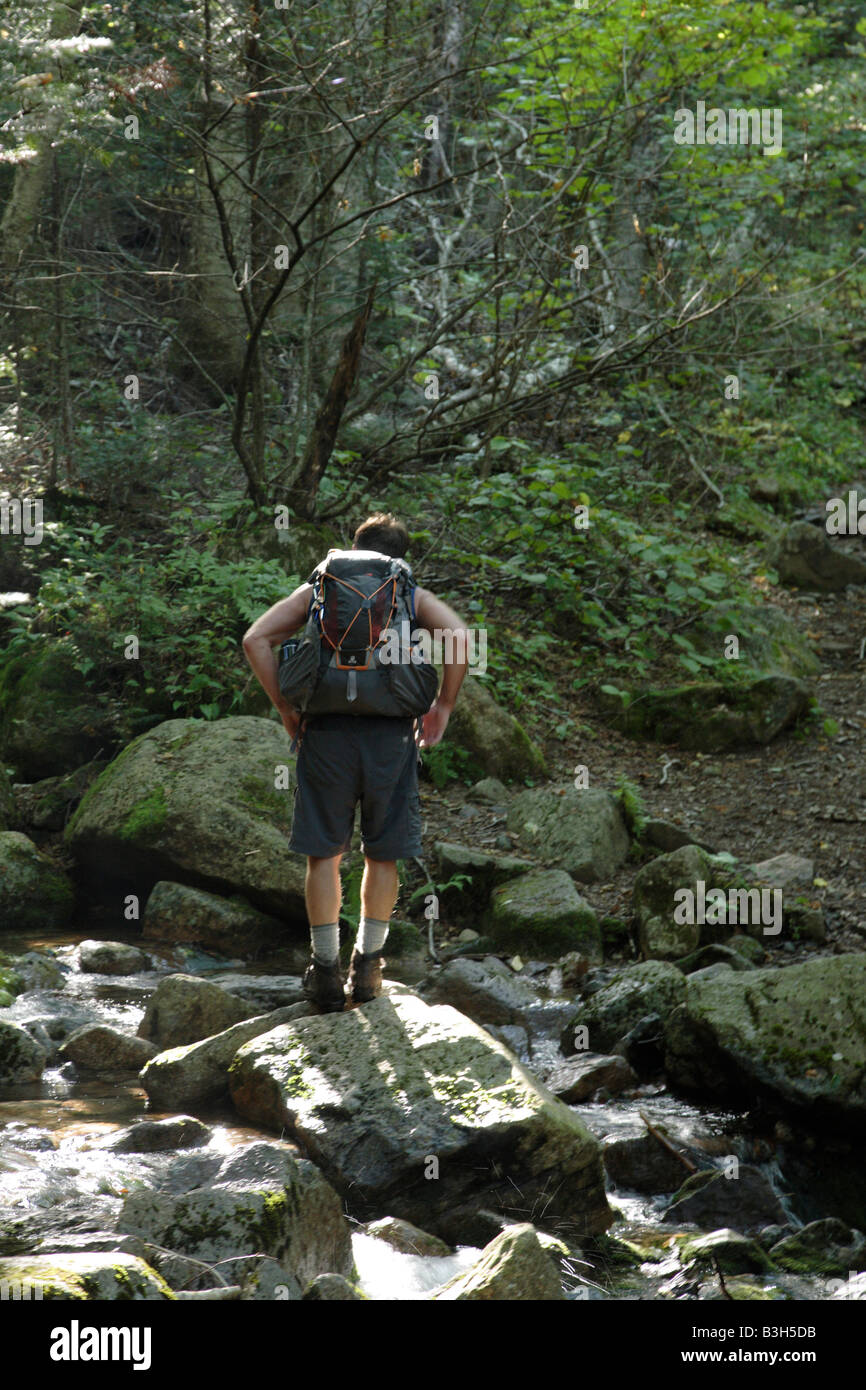 Flume Slide Trail headed for the summit of Mount Flume Located in the ...
