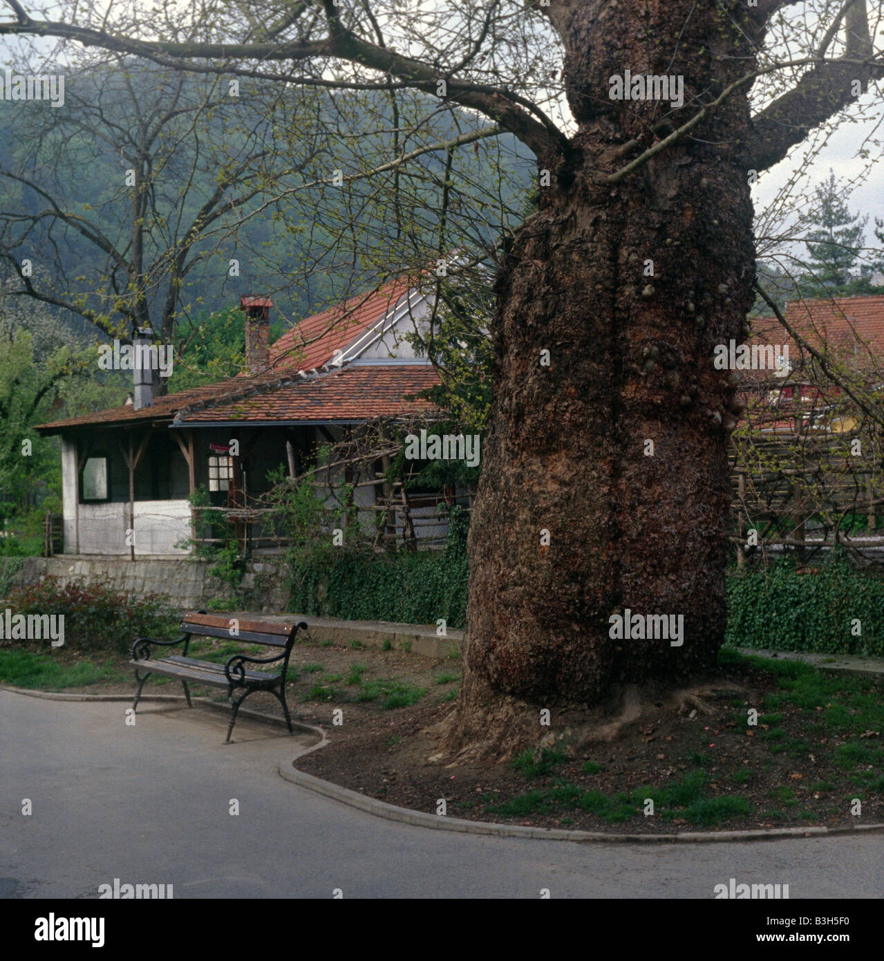 Spring mood in the park at dull day Stock Photo - Alamy
