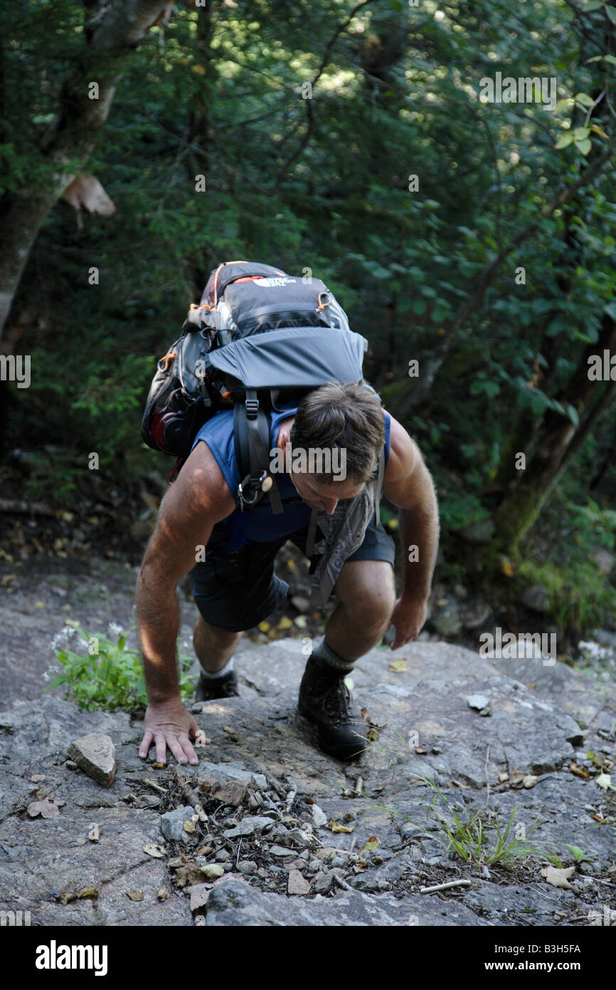 Flume Slide Trail headed for the summit of Mount Flume Located in the ...