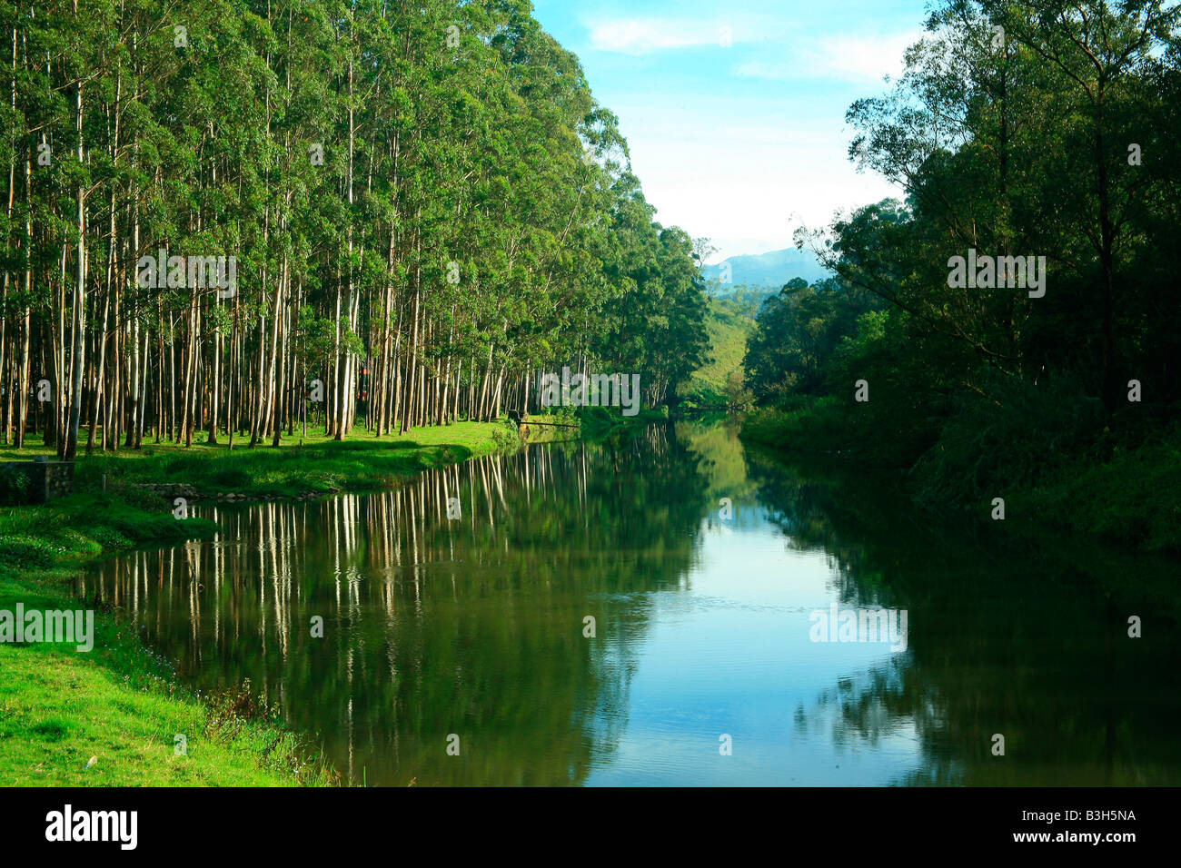 A panoramic view of Munnar,Kerala,india Stock Photo - Alamy