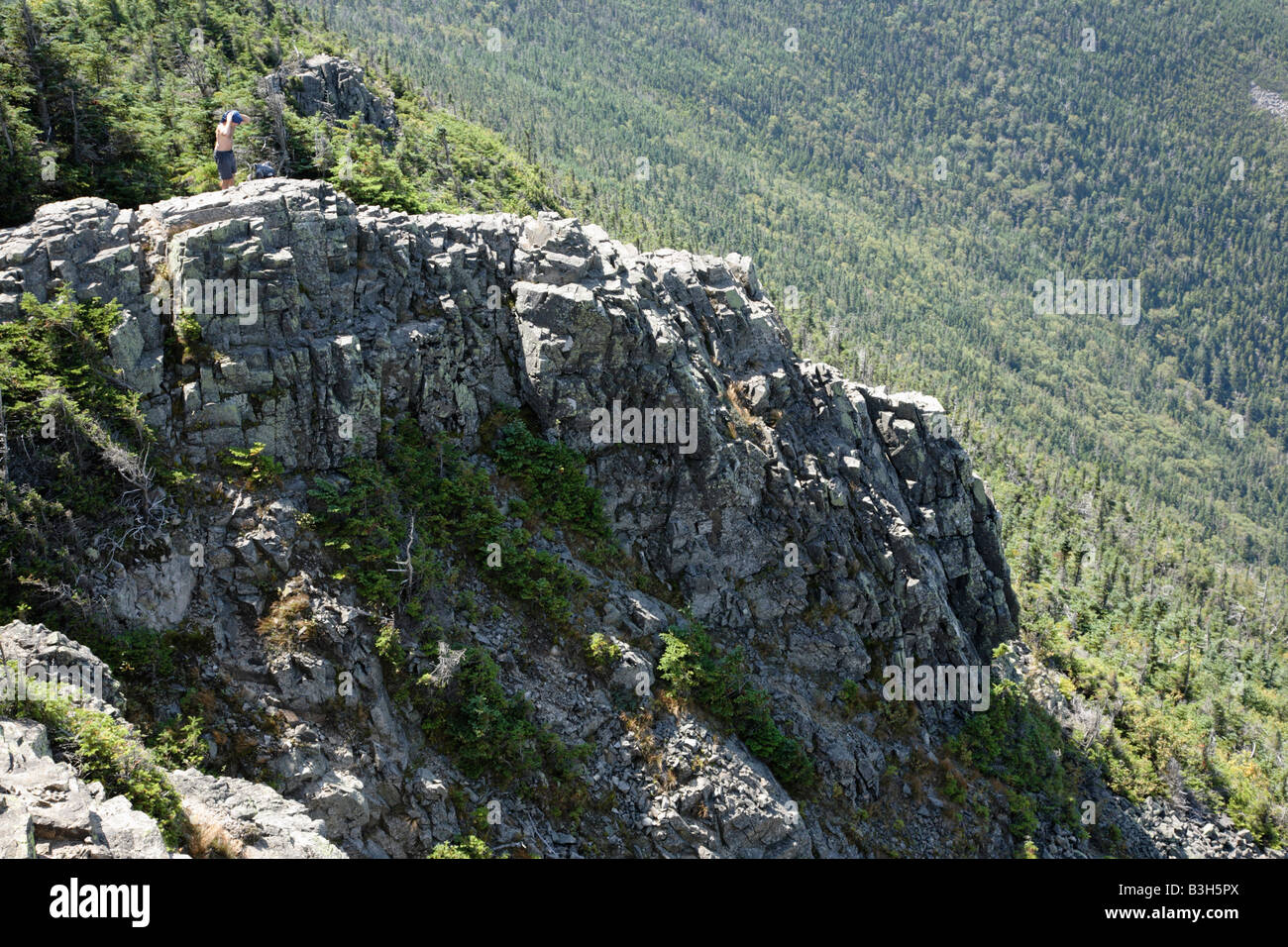 The rocky summit of Mount Flume during the summer months Located in the ...