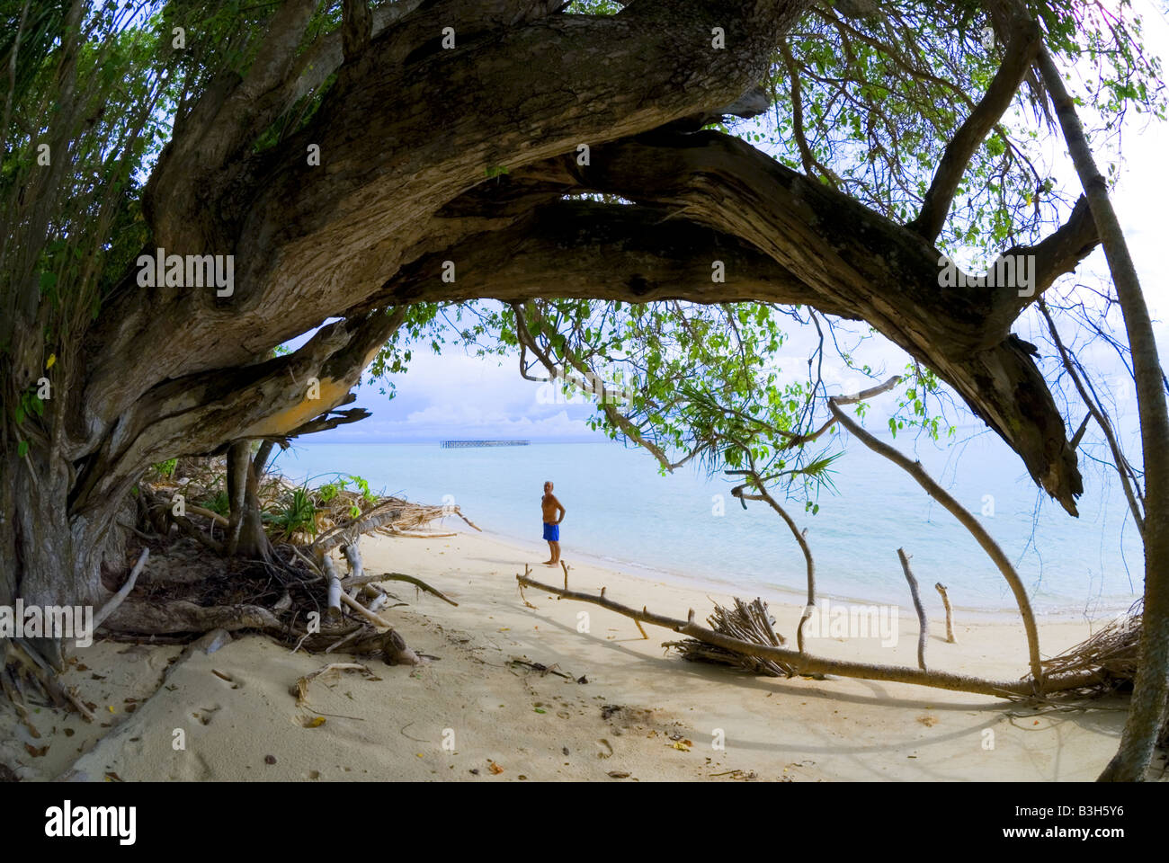 Young man standing under jungle trees overhanging the beach of a ...