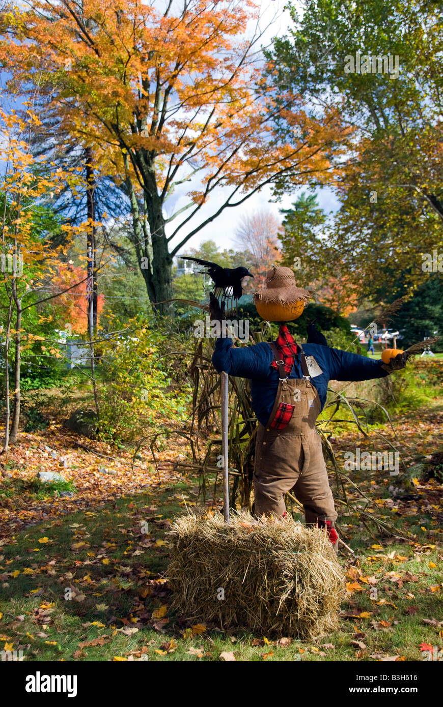 Scarecrow on guard Stock Photo - Alamy
