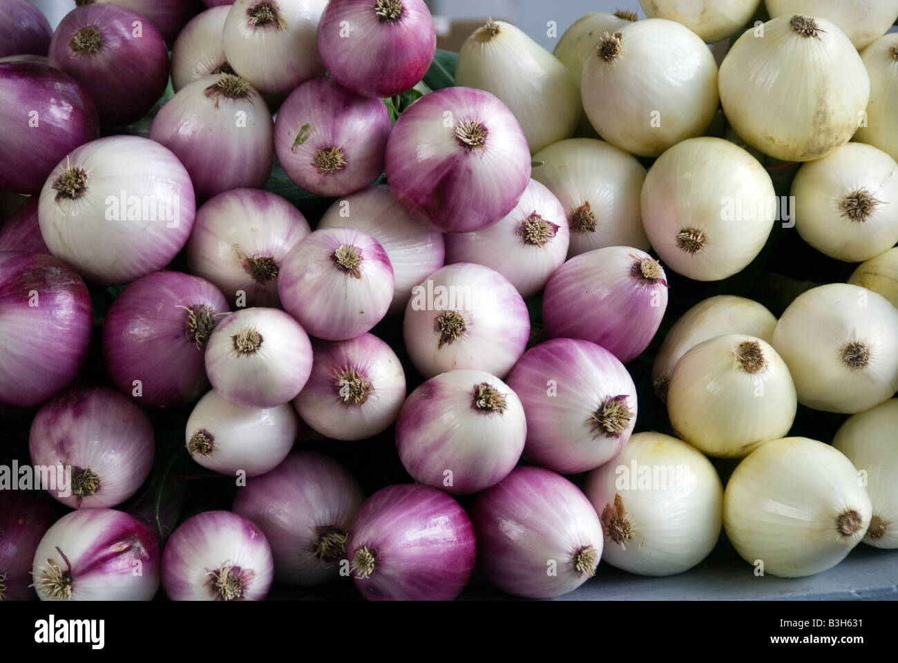 Marche jean talon market hi-res stock photography and images - Alamy