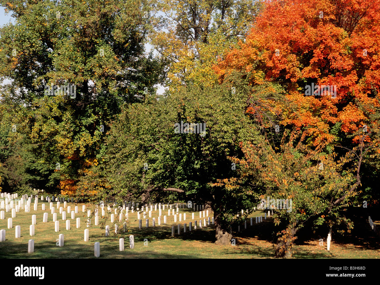 Arlington VA Arlington National Cemetery in the Autumn Fall Foliage ...