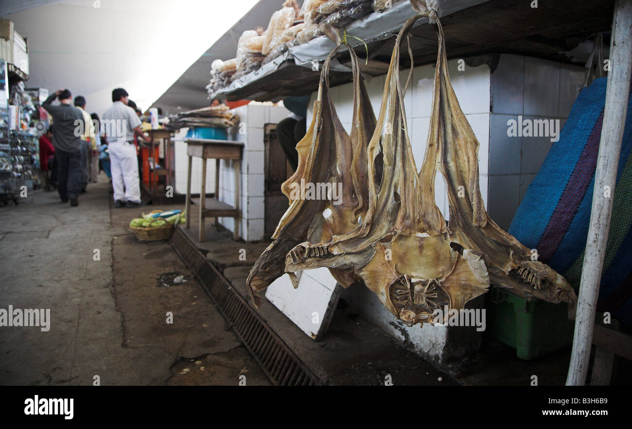 Dried sting ray hi-res stock photography and images - Alamy