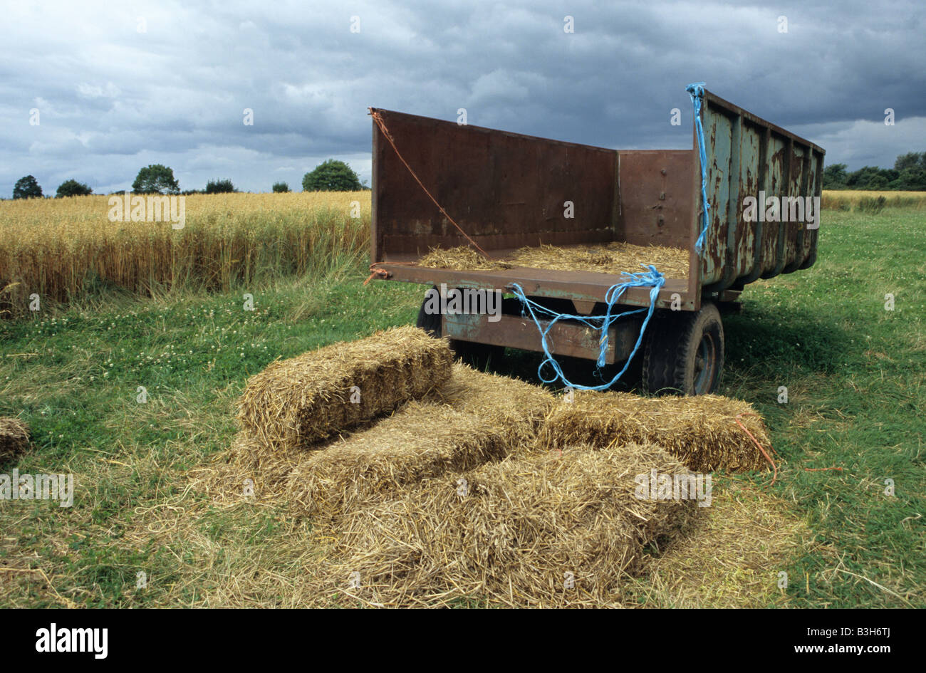 Typical Cheshire Farm Scene Stock Photo - Alamy