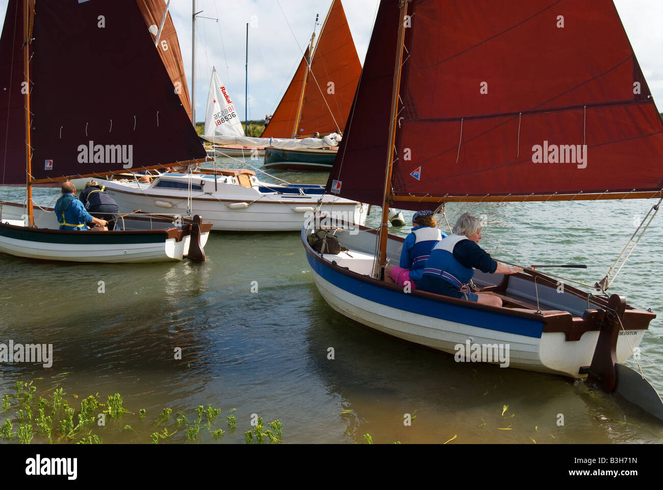 Stiffkey cockles hi-res stock photography and images - Alamy
