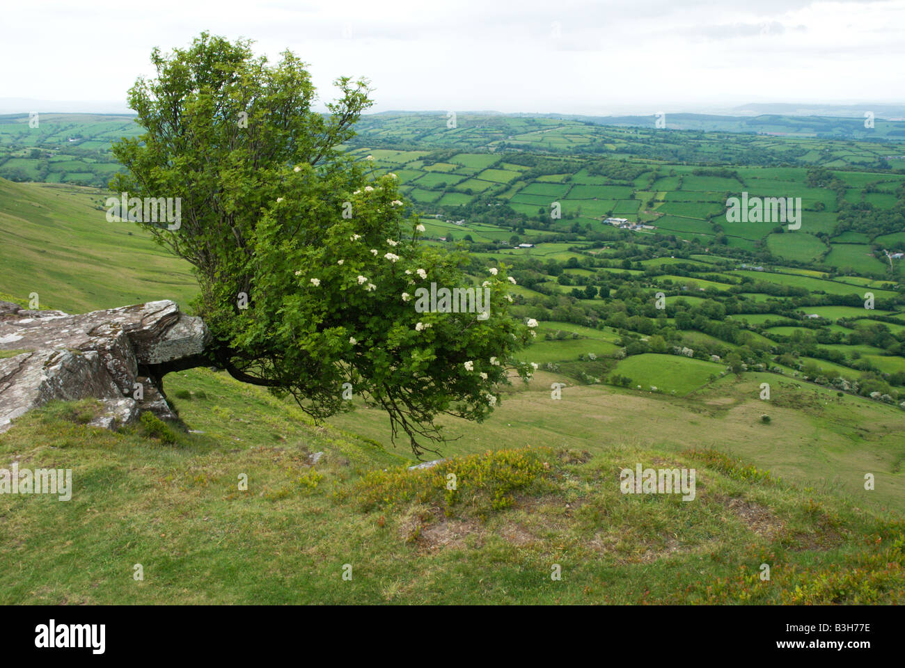 Welsh moor hi-res stock photography and images - Alamy