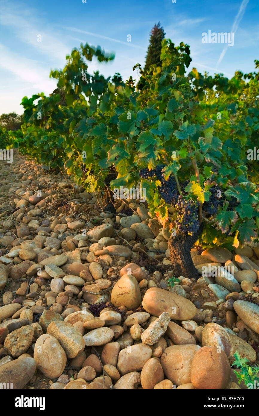 Bucolic region hi-res stock photography and images - Alamy