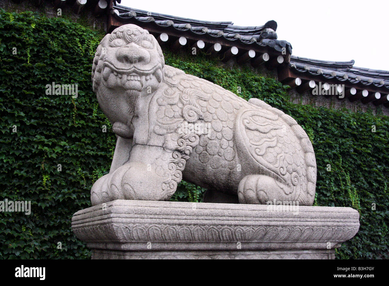 Korean tiger hi-res stock photography and images - Alamy