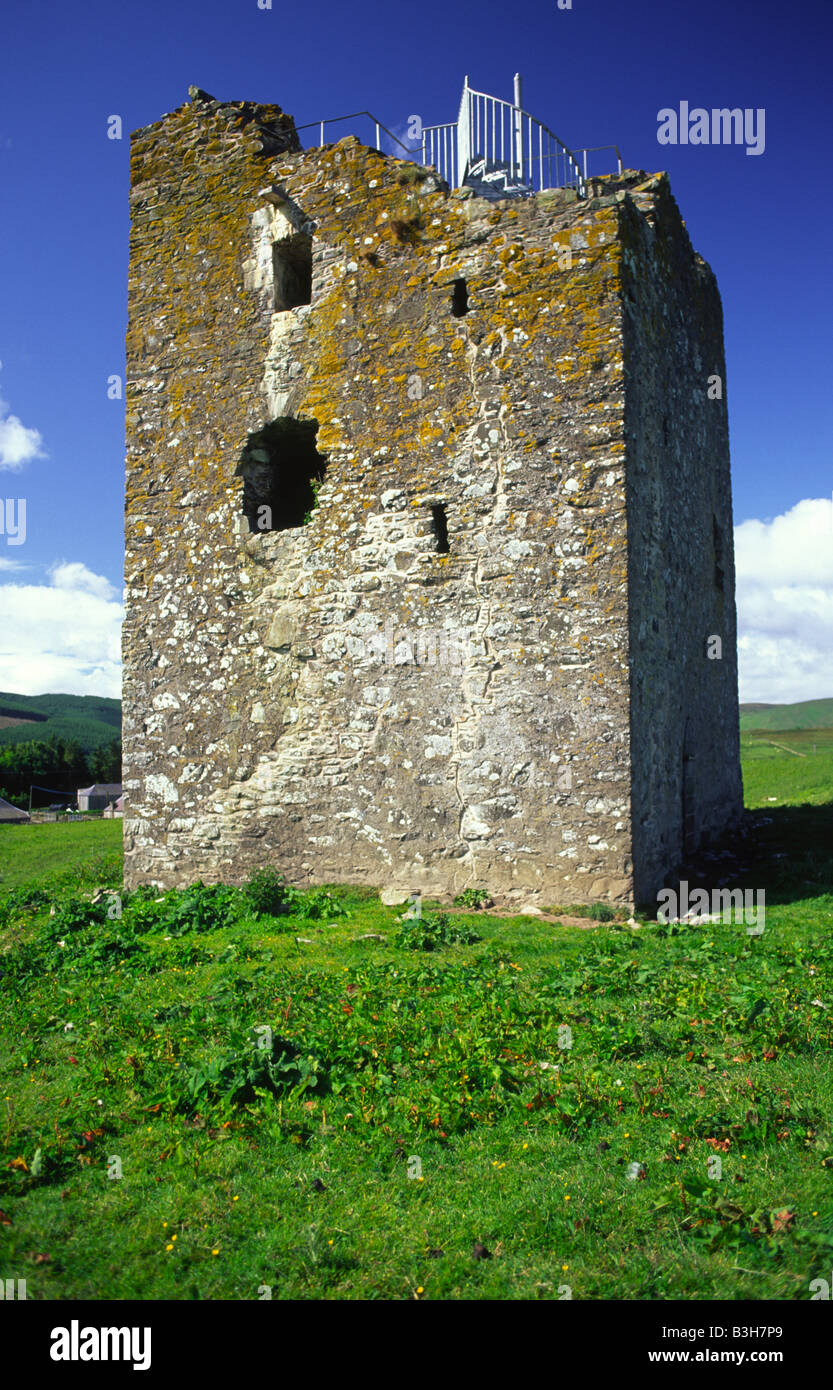 Scottish Castle Dryhope Tower a peel tower near St Marys Loch on the ...