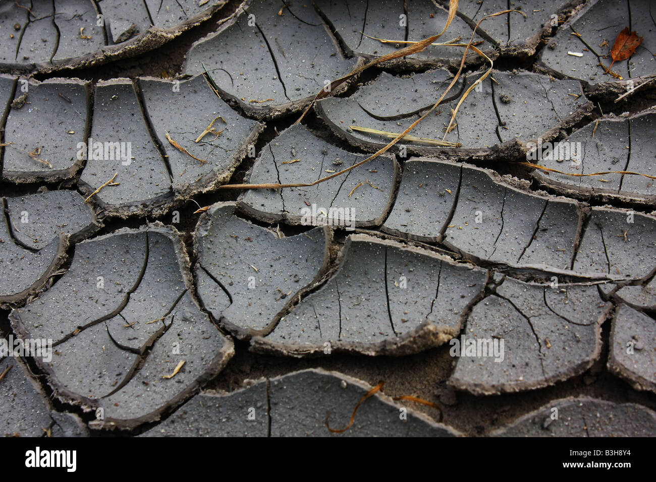 Mud and soil hi-res stock photography and images - Alamy