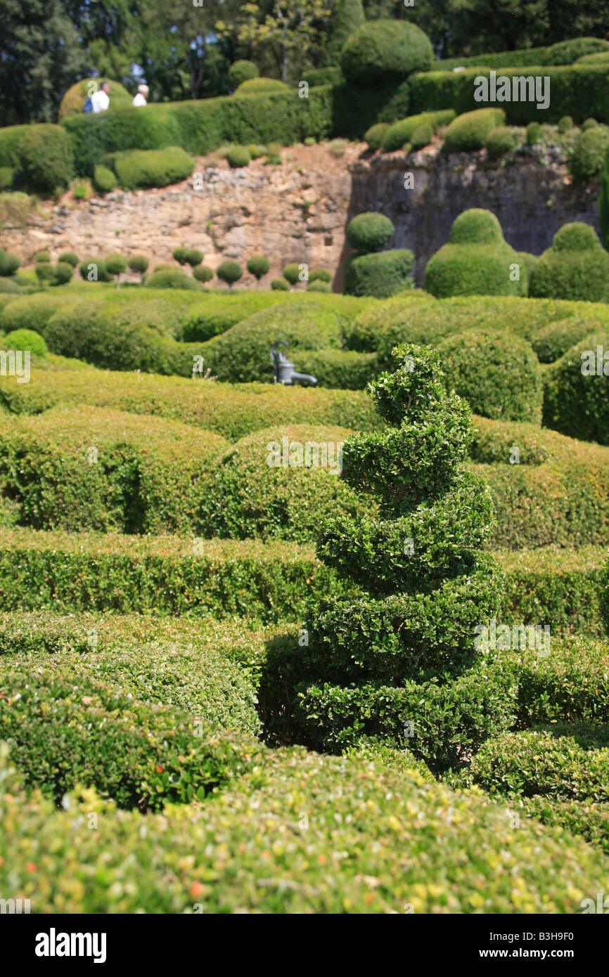 Common box buxus sempervirens garden hi-res stock photography and ...
