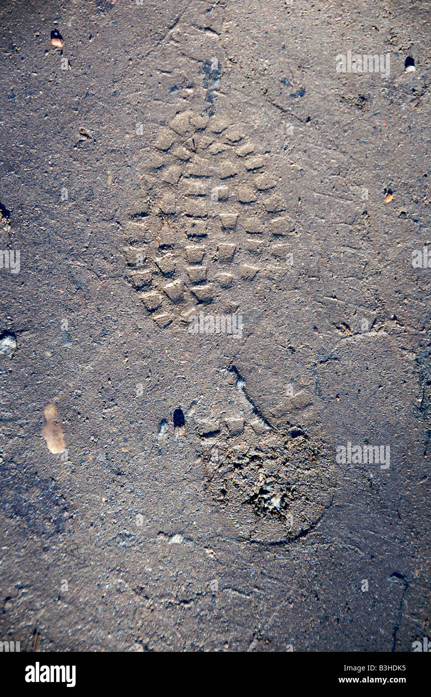 Footprint impression captured on a muddy surface reveals details of ...