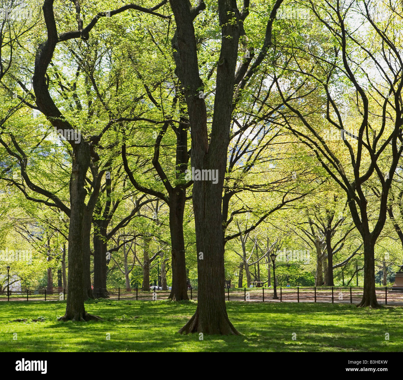 What to see in central park hi-res stock photography and images - Alamy