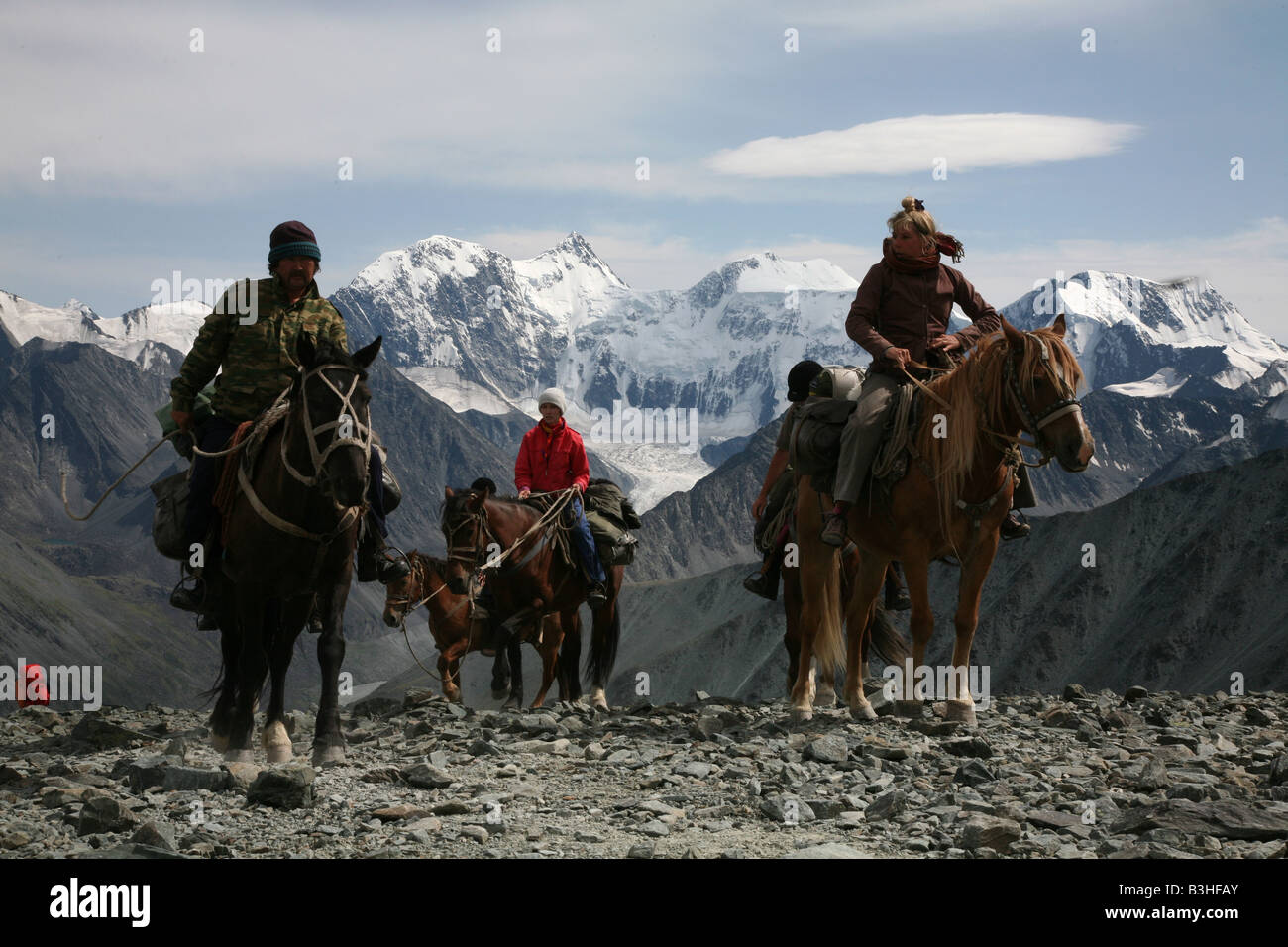 Horse trekking in the Altai Mountains, Russia. Horses climbing up to ...