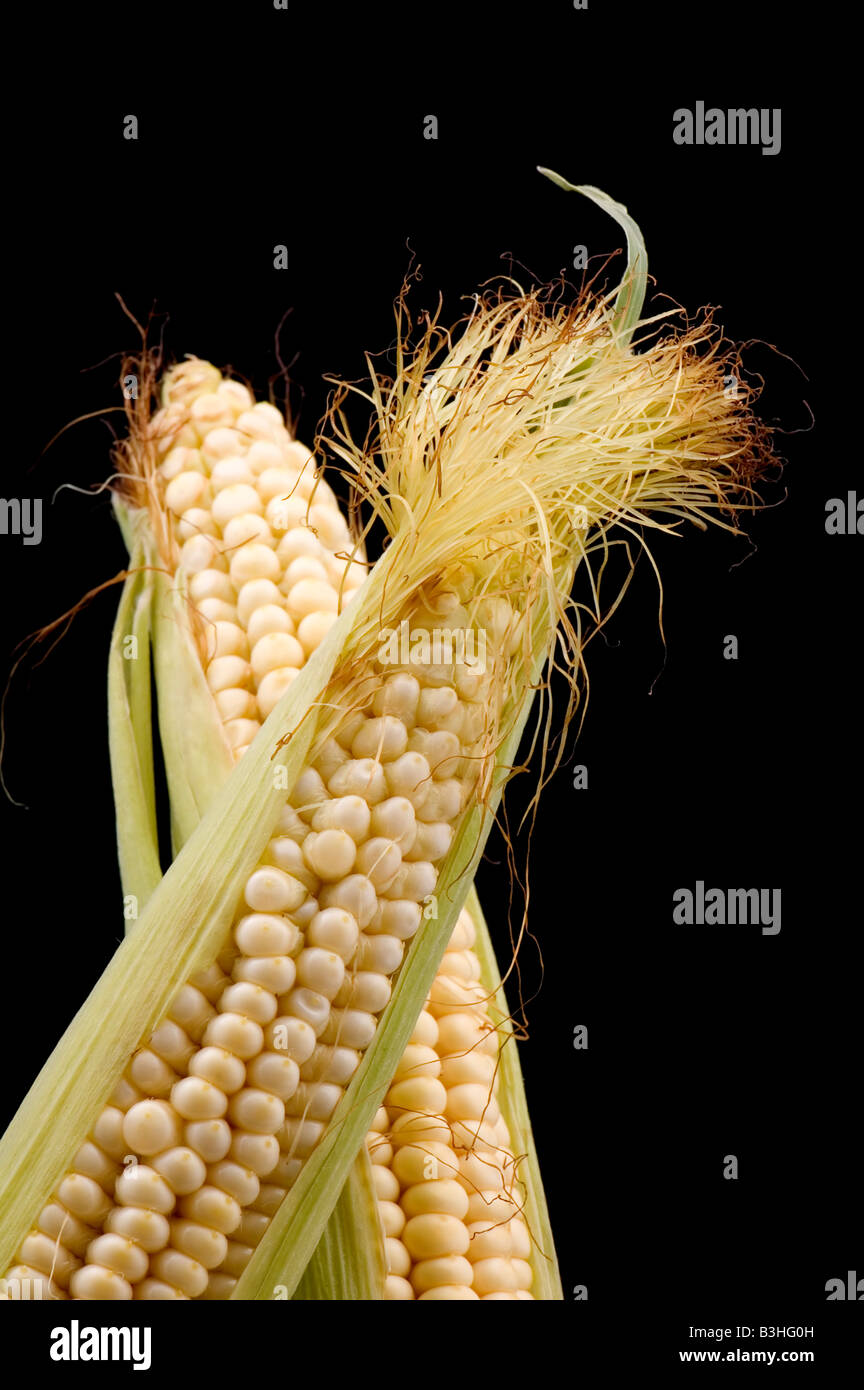 object on black food corn in cob Stock Photo - Alamy