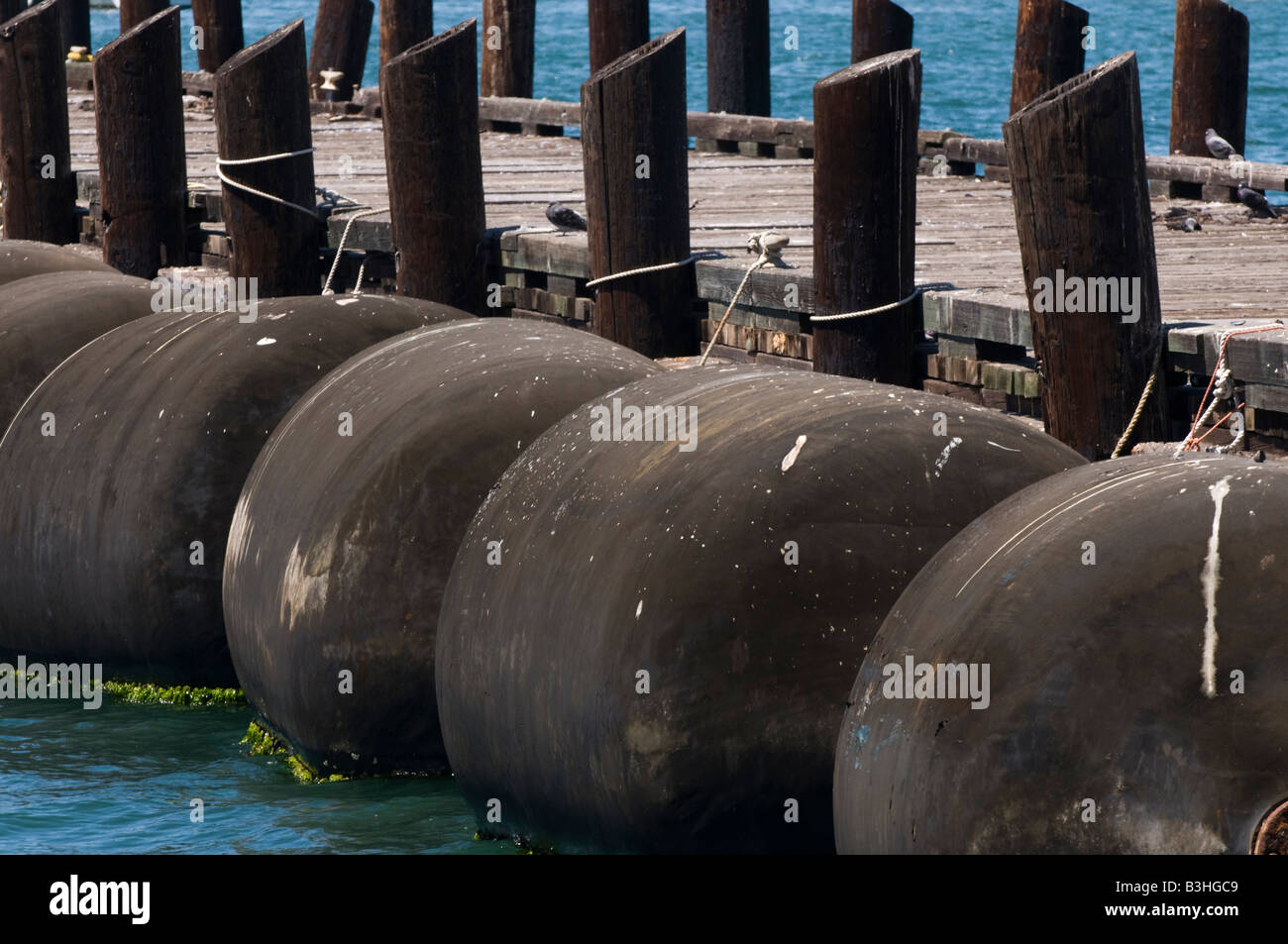 Is the Coronado Bridge and piers in San Diego safe from collision with ...