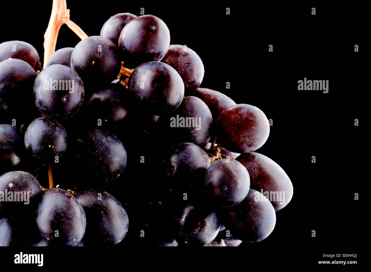 object on black food Black grapes Stock Photo - Alamy