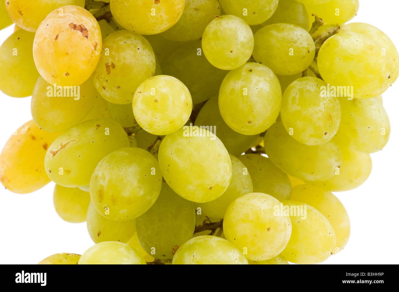 object on white food green grapes Stock Photo - Alamy