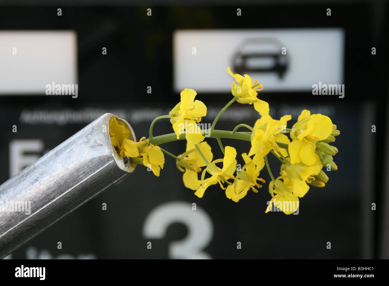 symbol biological fuel Stock Photo - Alamy