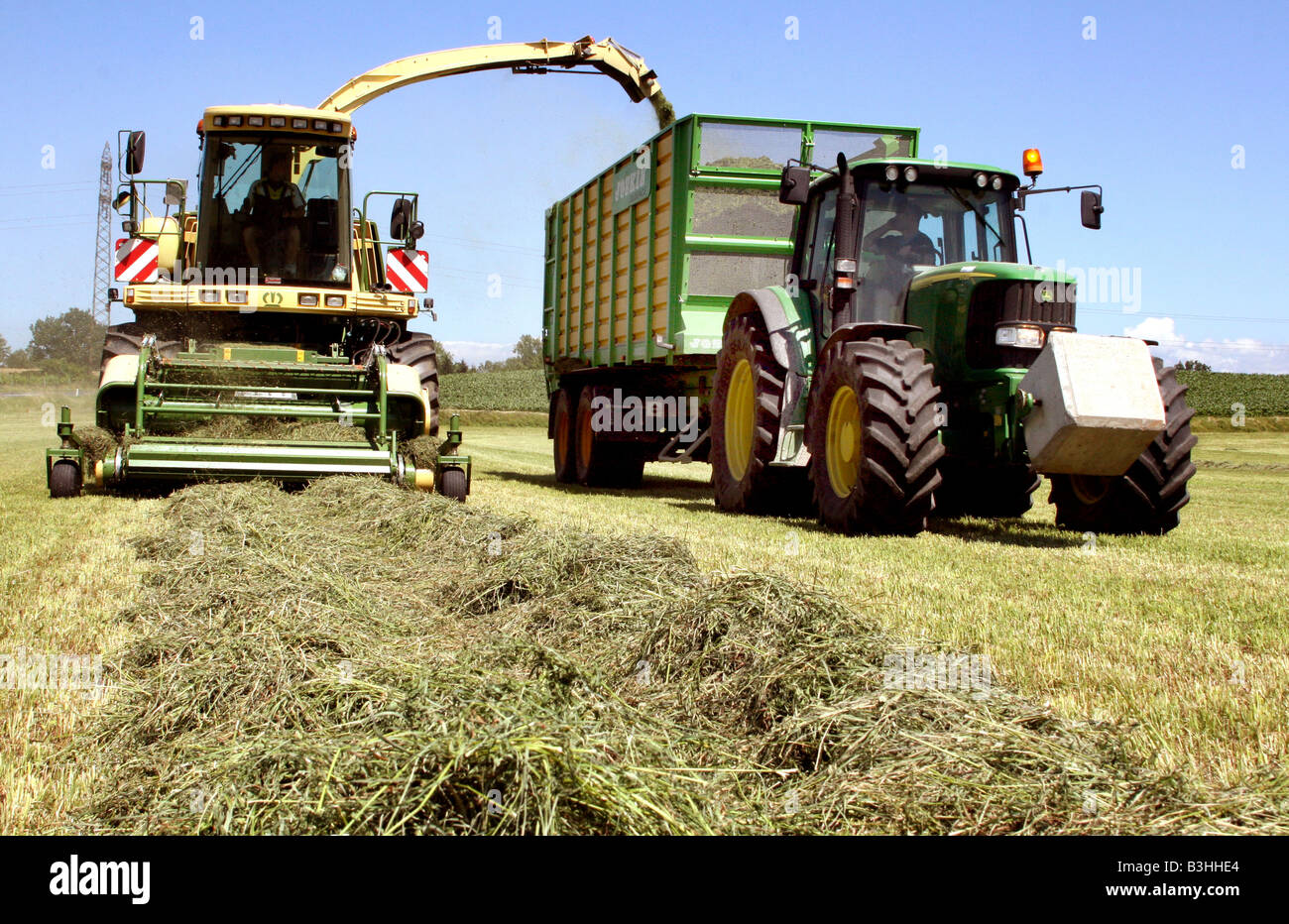 Chaff cutting hi-res stock photography and images - Alamy