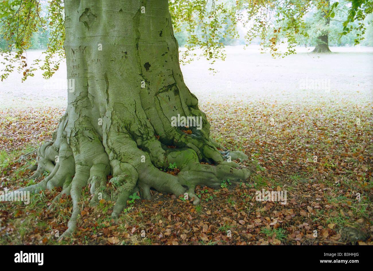 With strengths in the arts hi-res stock photography and images - Alamy