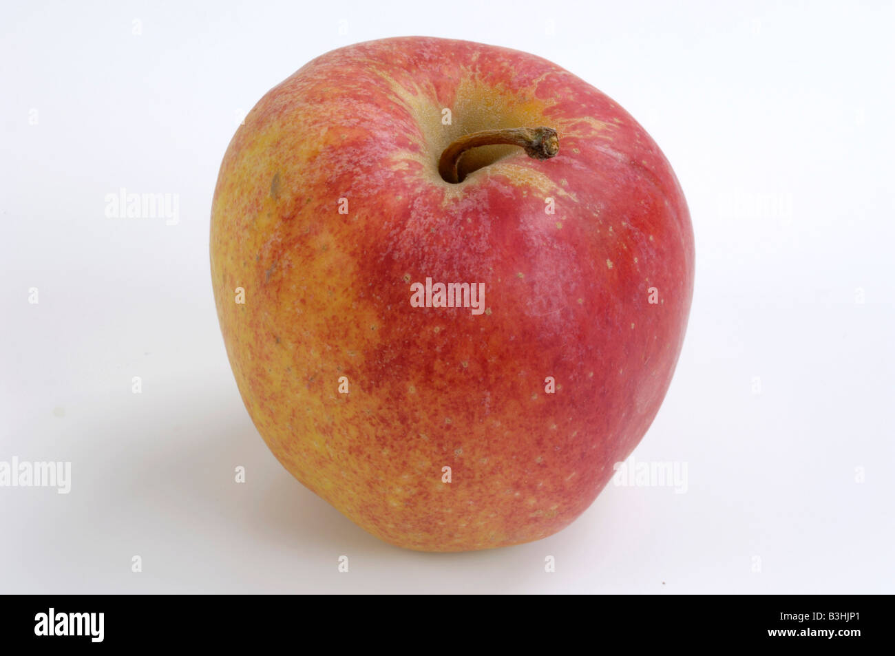 Apple Gala Stock Photo - Alamy
