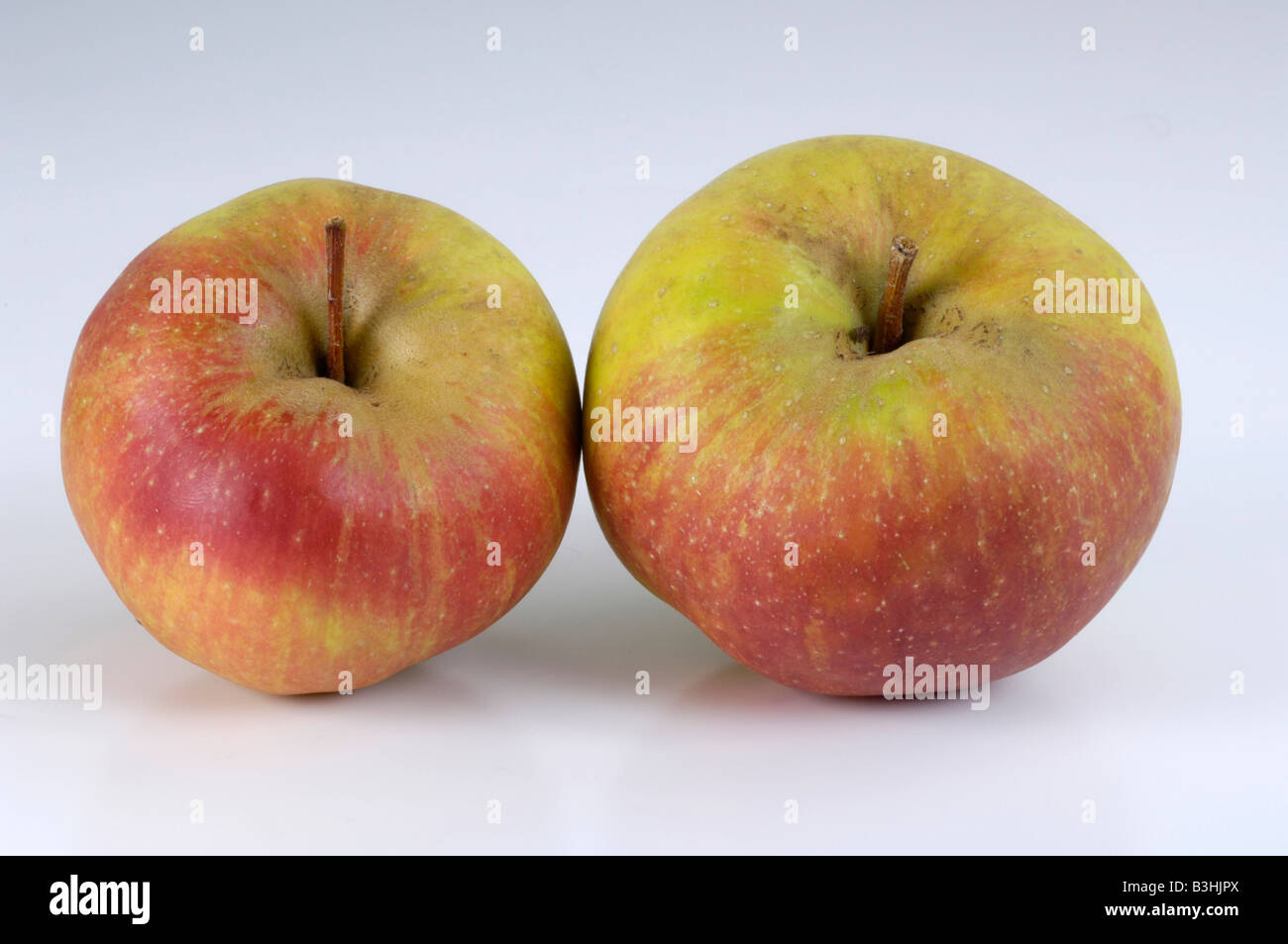 Boskop hi-res stock photography and images - Alamy