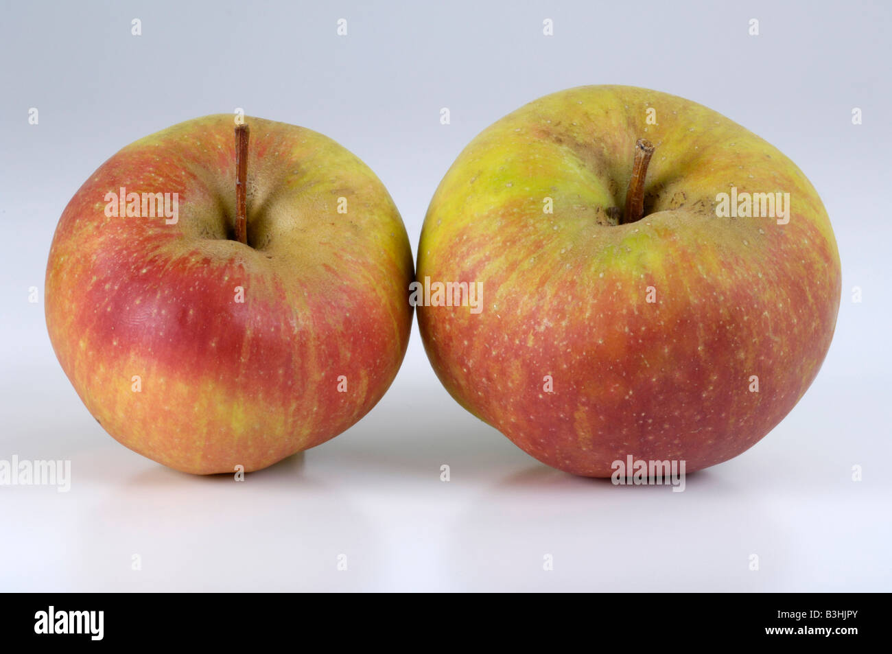 Boskop hi-res stock photography and images - Alamy
