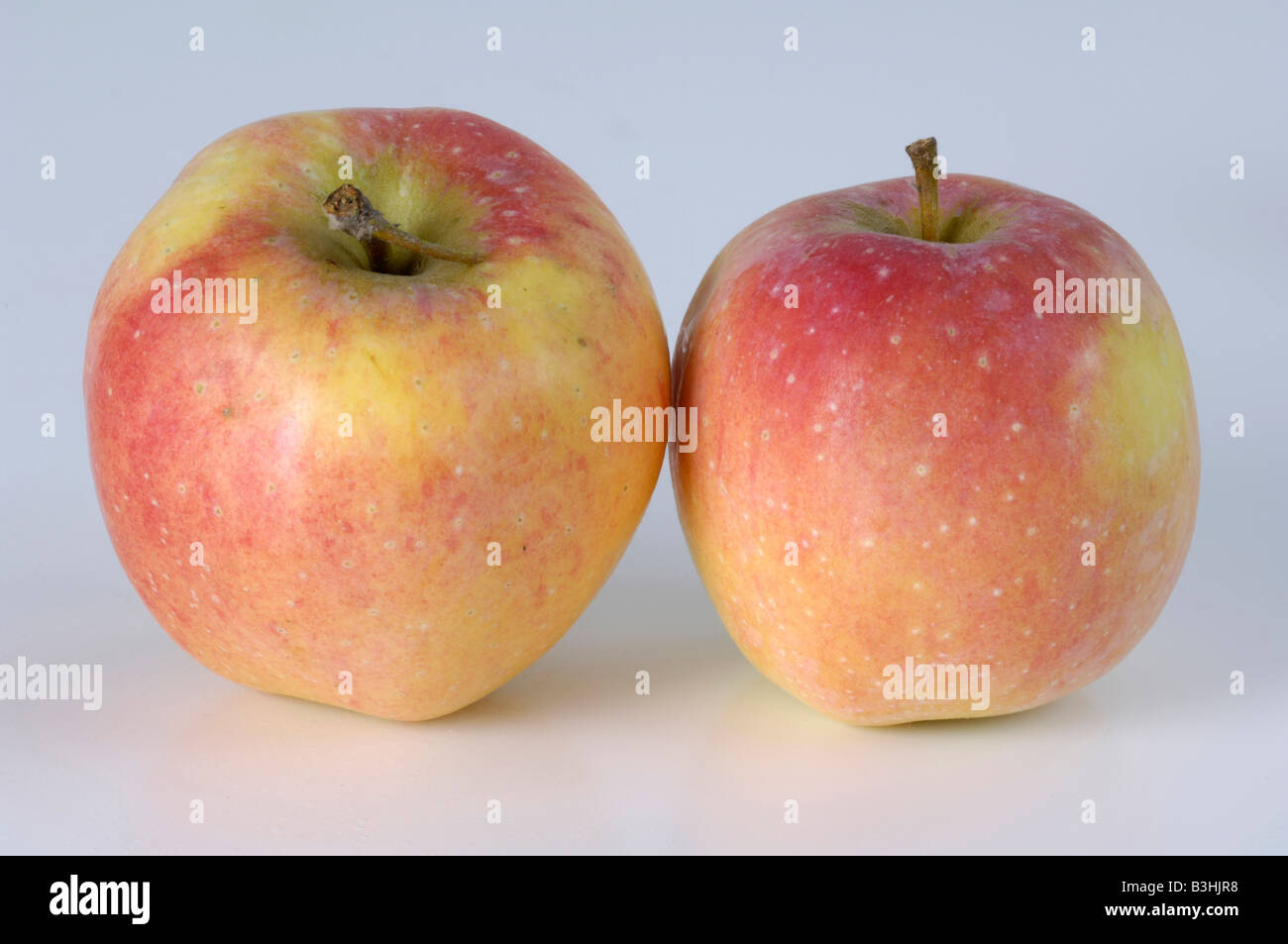 Apple Florina Stock Photo - Alamy