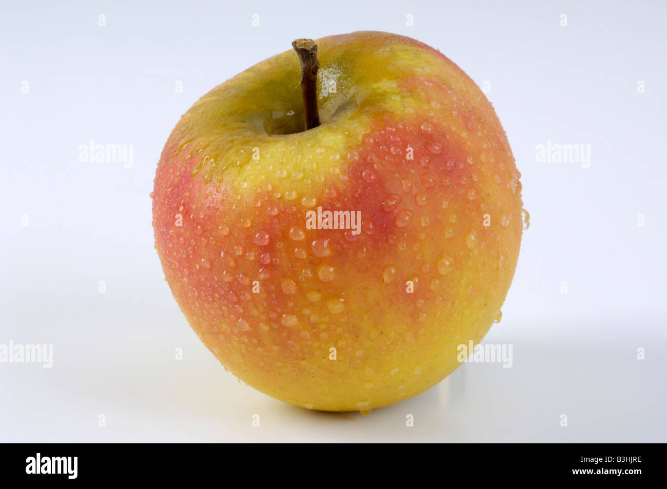 Apple Elstar Stock Photo - Alamy