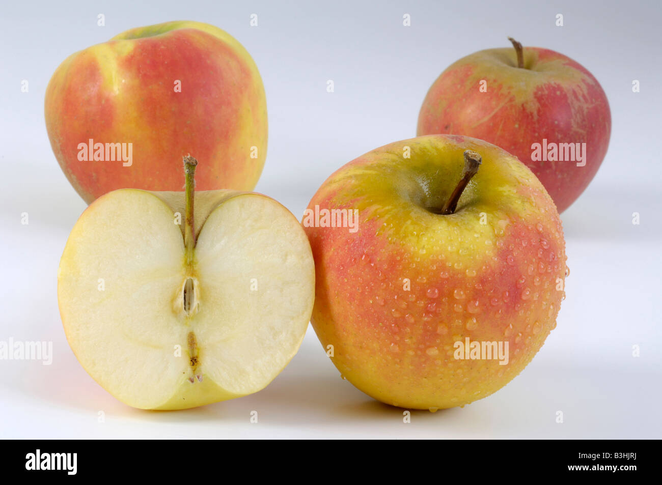 Apple Elstar Stock Photo - Alamy