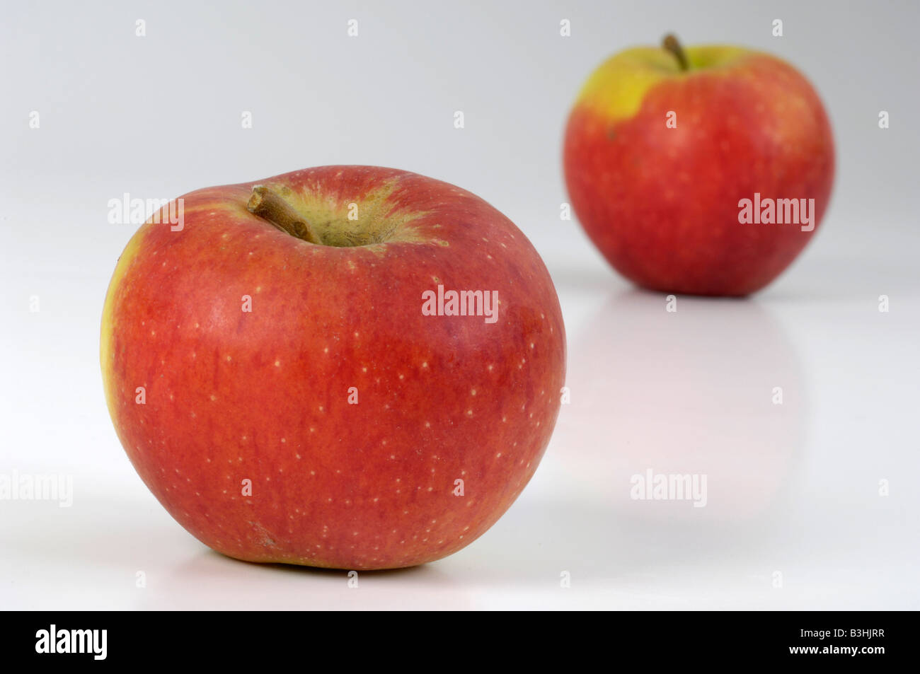 Apple Pilot Stock Photo - Alamy
