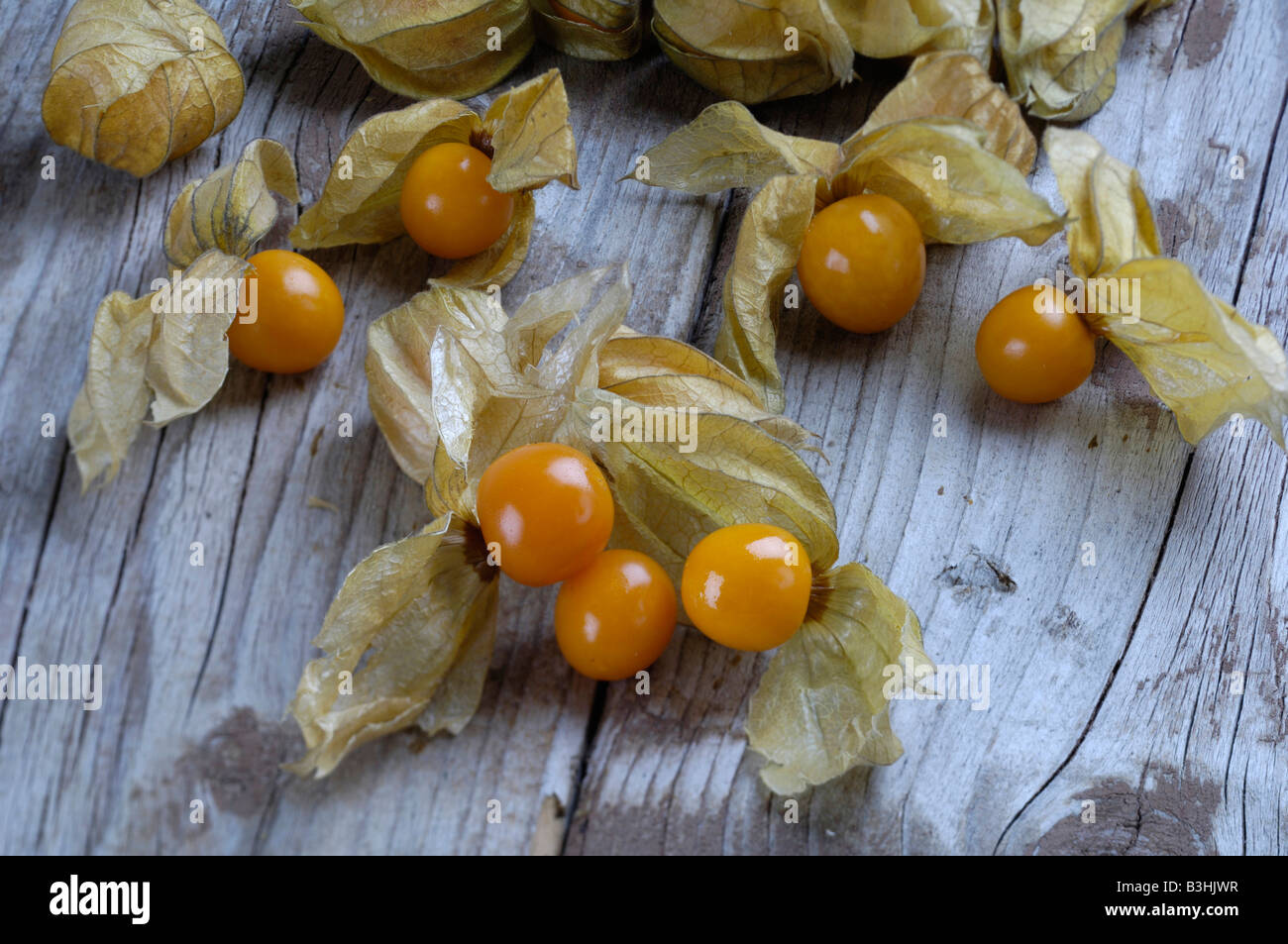 Cape Gooseberry Ground Cherry Stock Photo - Alamy