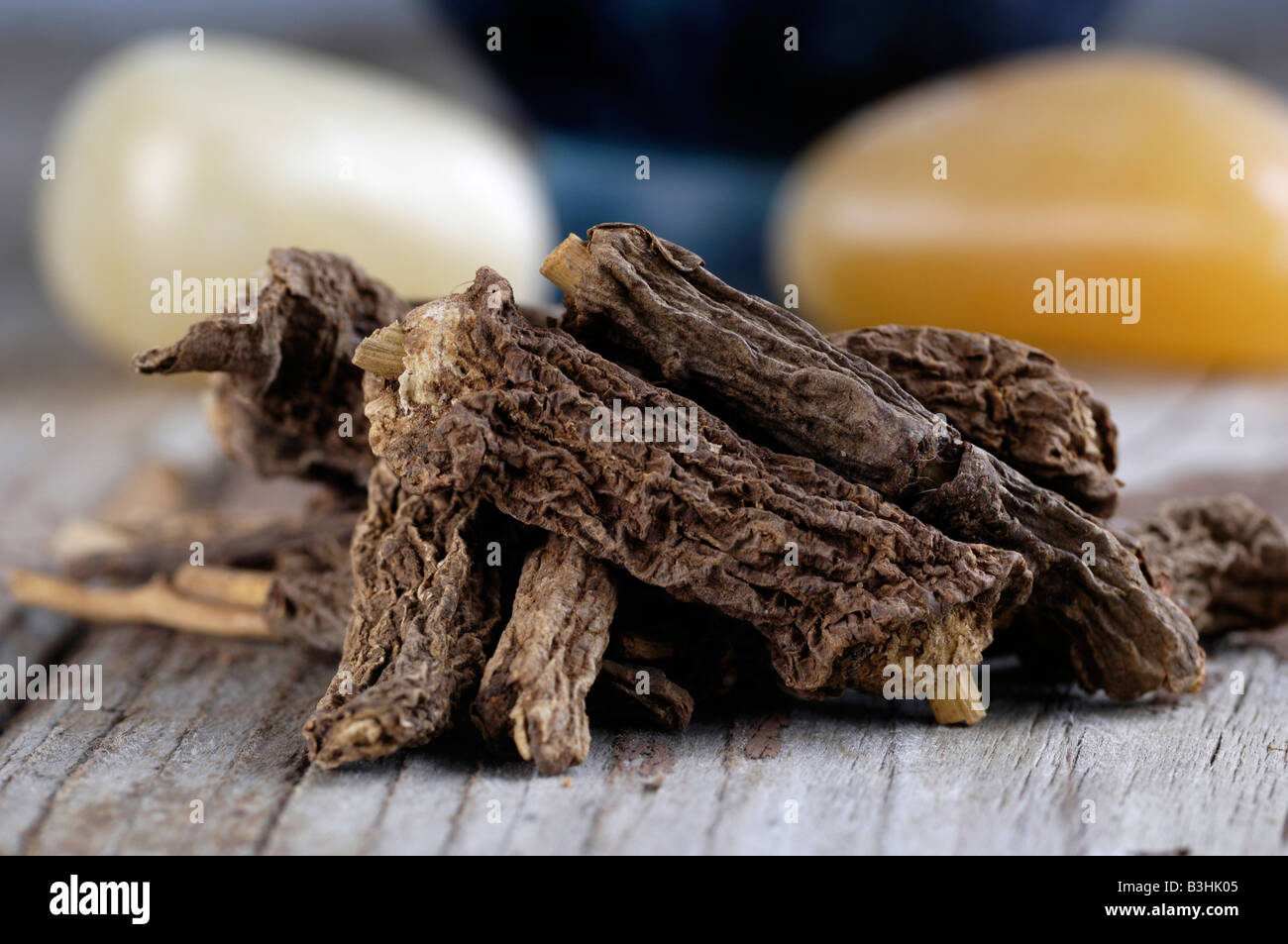 Pushkara hi-res stock photography and images - Alamy