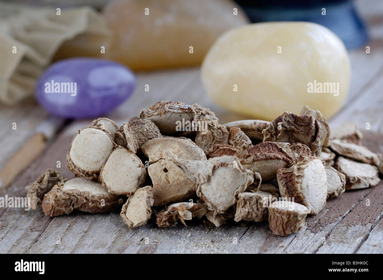 Zedoary Kachura Stock Photo - Alamy