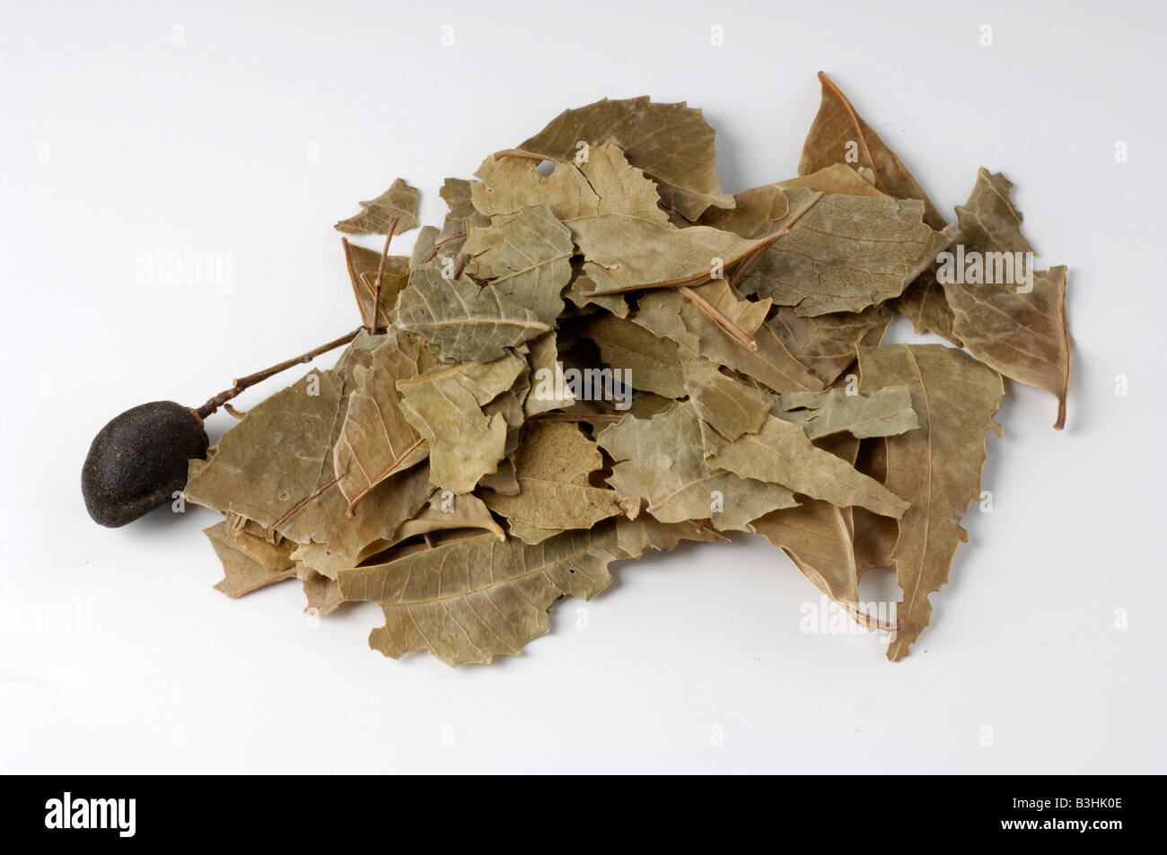 Zedoary Kachura Stock Photo - Alamy