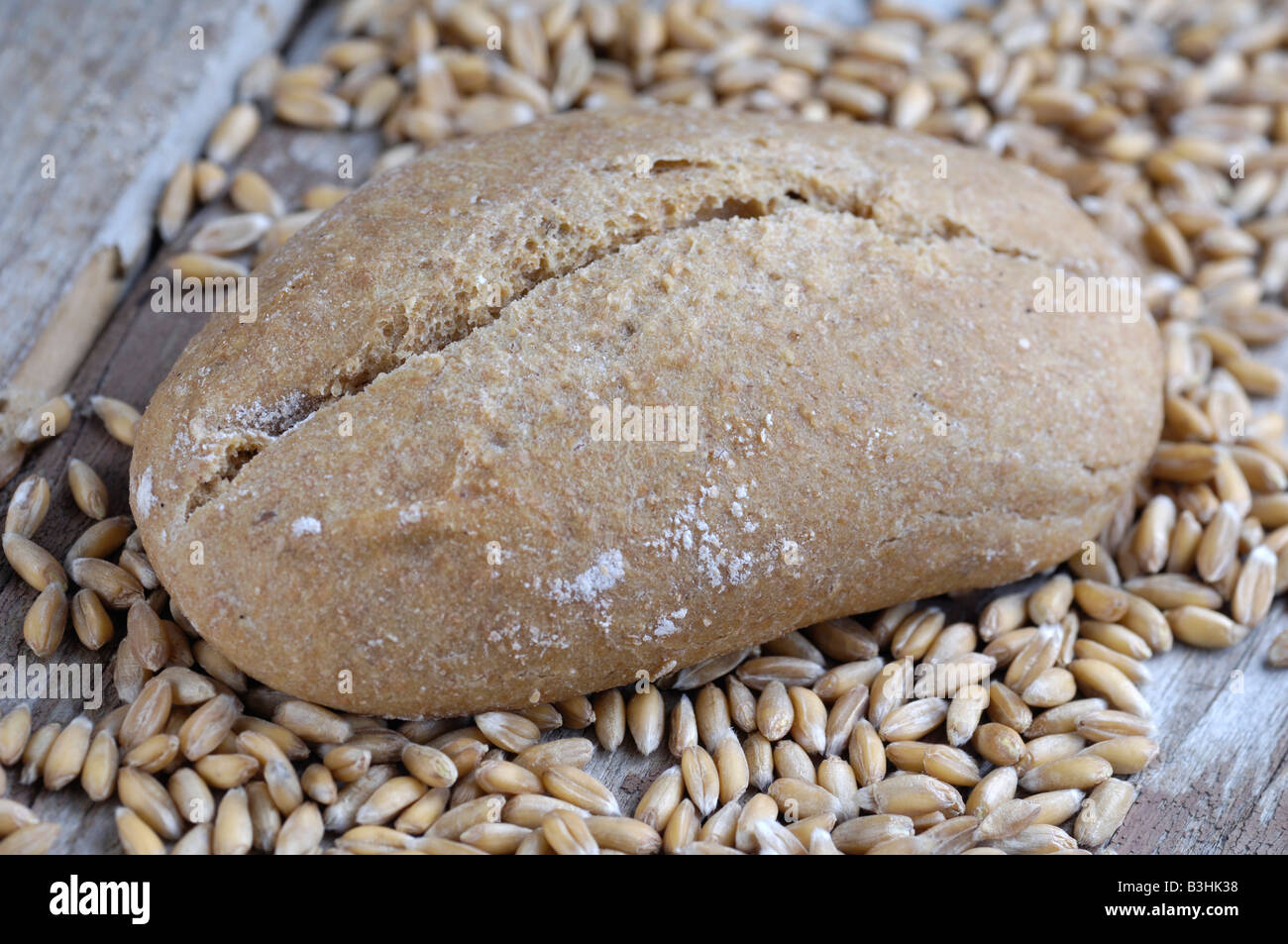 Spelt Wheat roll Stock Photo - Alamy