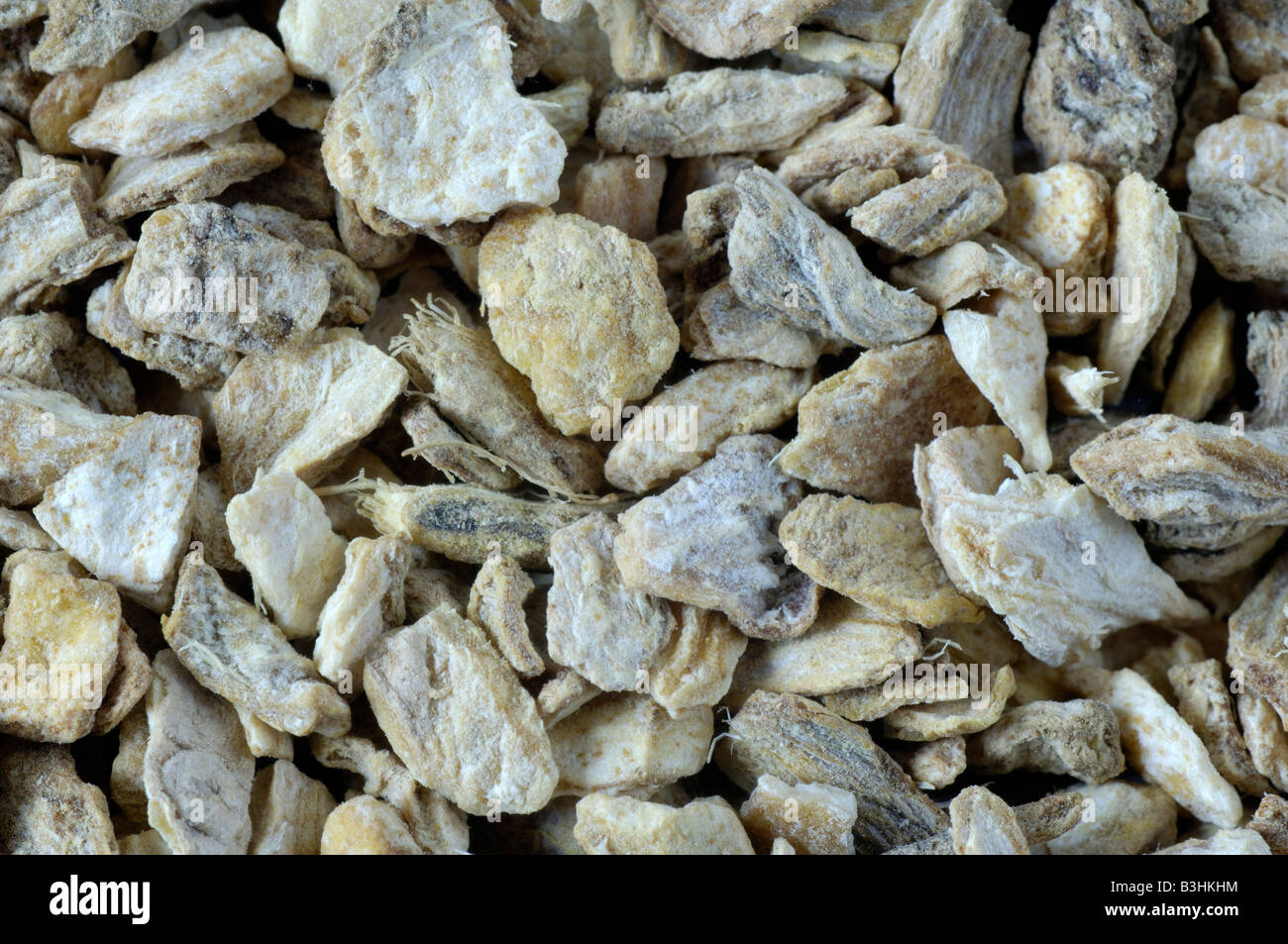 Common Ginger Roots Stock Photo - Alamy