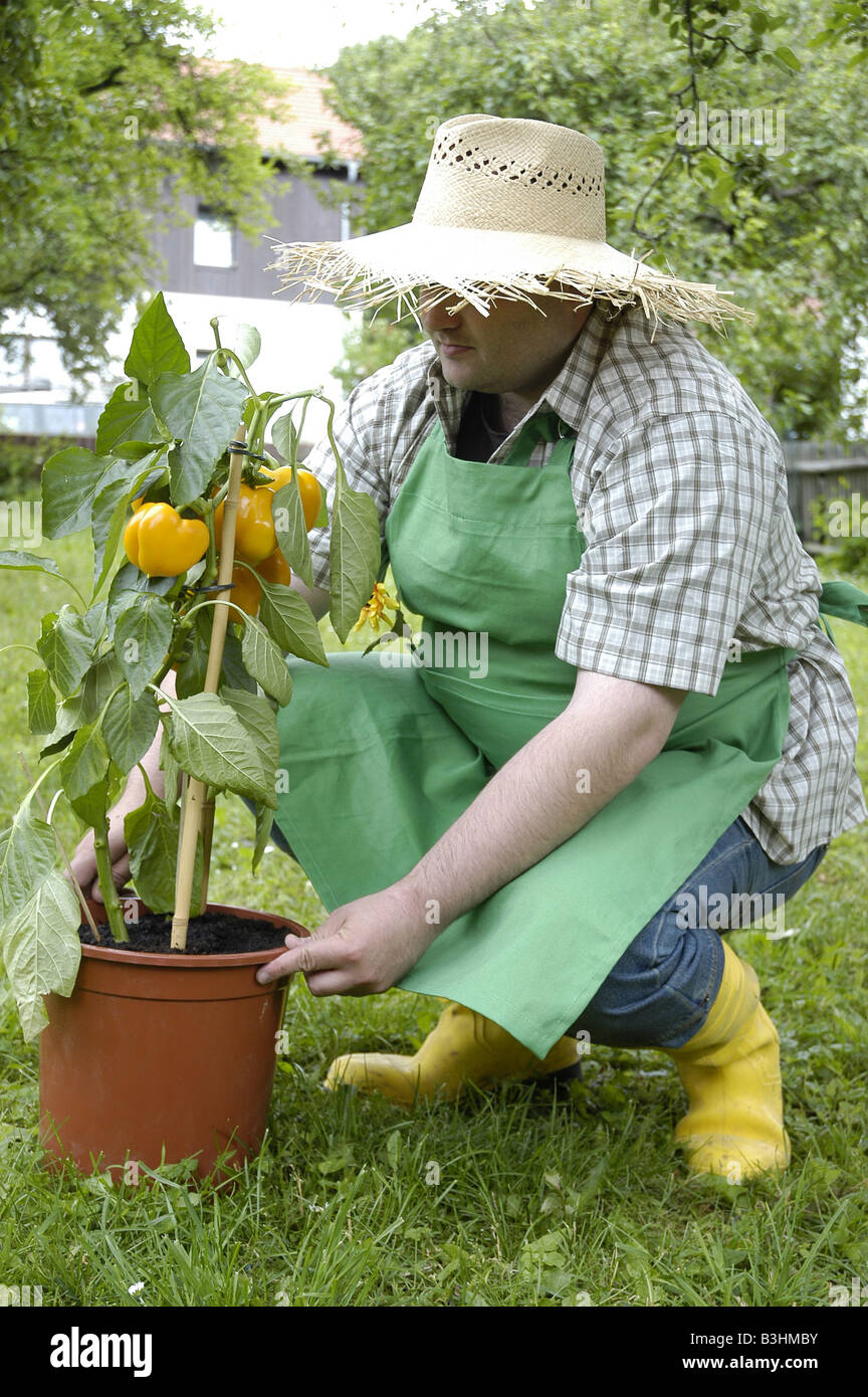 gardener at work Stock Photo - Alamy