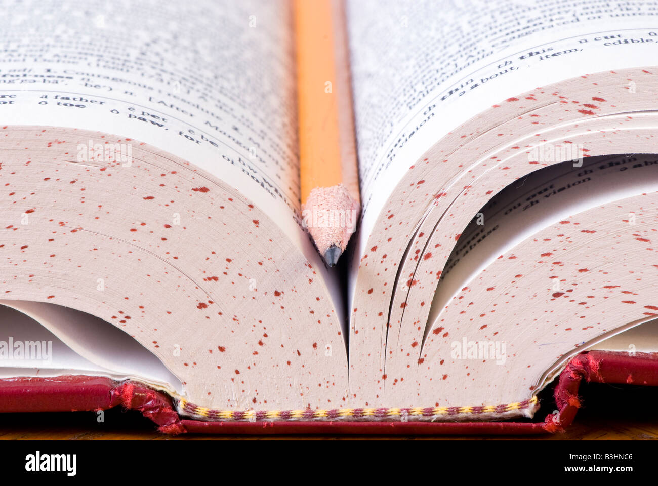 A close up of an open dictionary with a pencil Stock Photo - Alamy