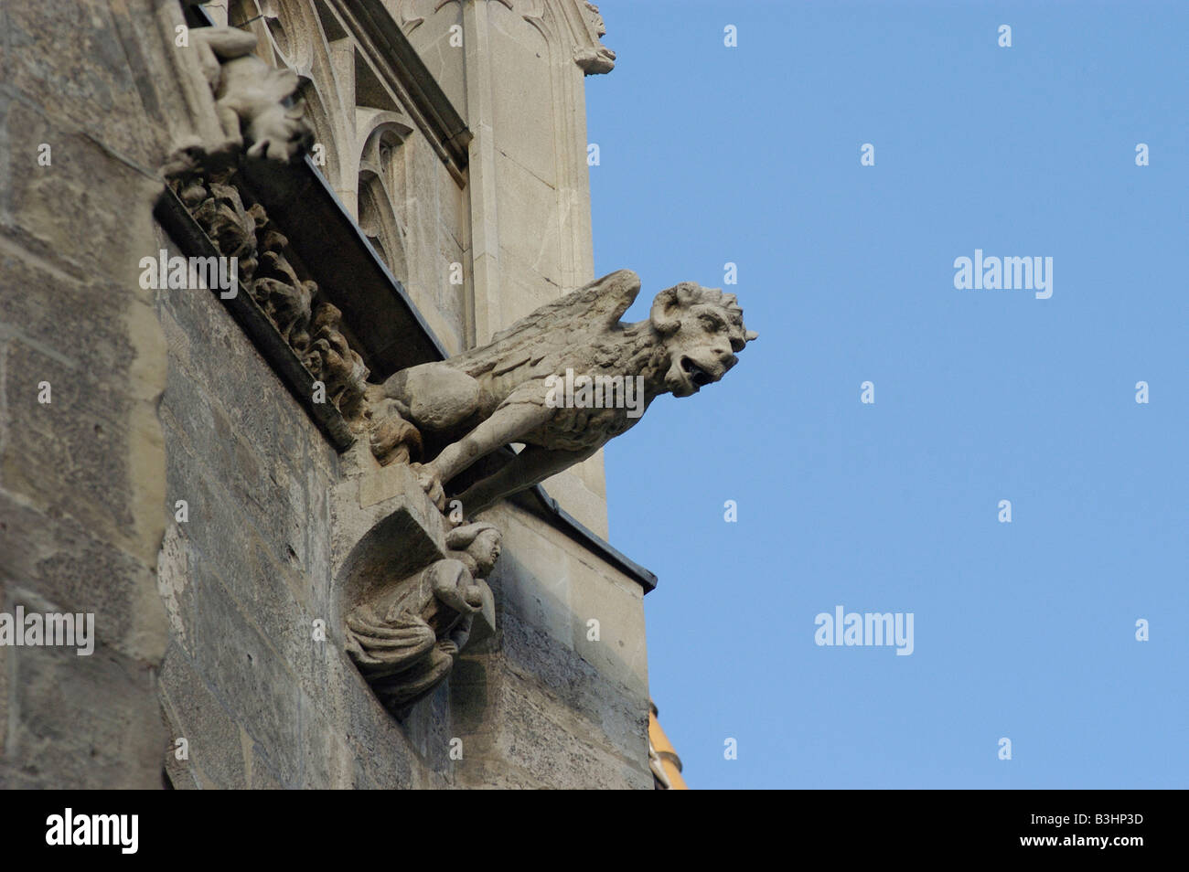 waterspout at the St. Stephen's Cathedral Stock Photo - Alamy