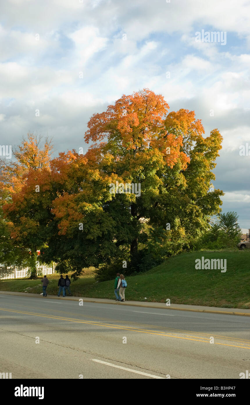 Students return home from class past autumn colors Stock Photo - Alamy