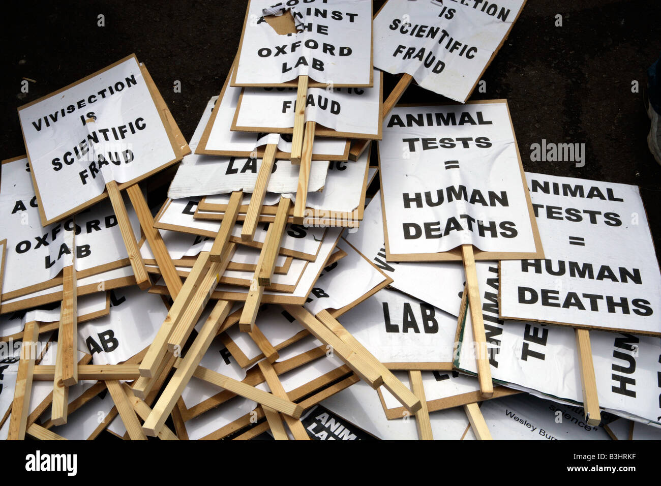 Cruelty against animal hi-res stock photography and images - Alamy