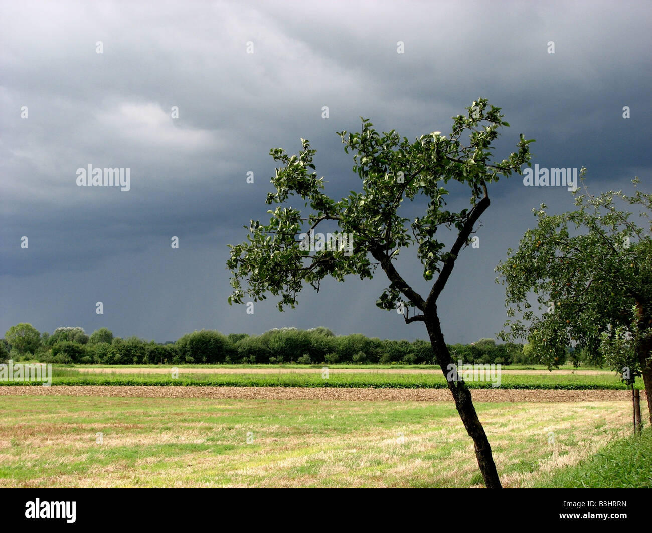 Thunderstorm in sky before rains hi-res stock photography and images ...