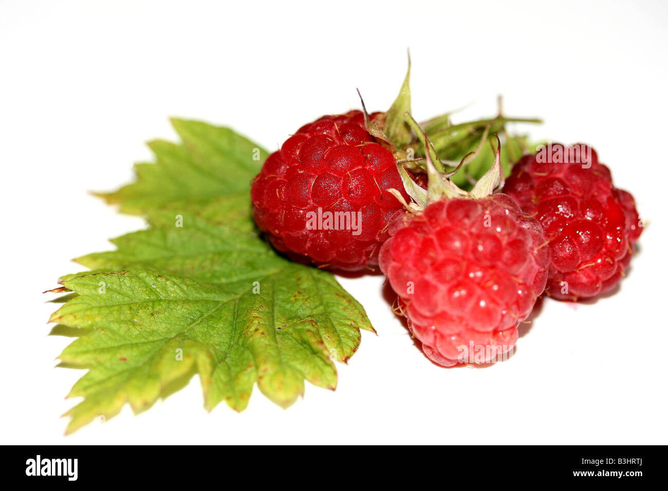 Idaeus raspberry Cut Out Stock Images & Pictures - Alamy