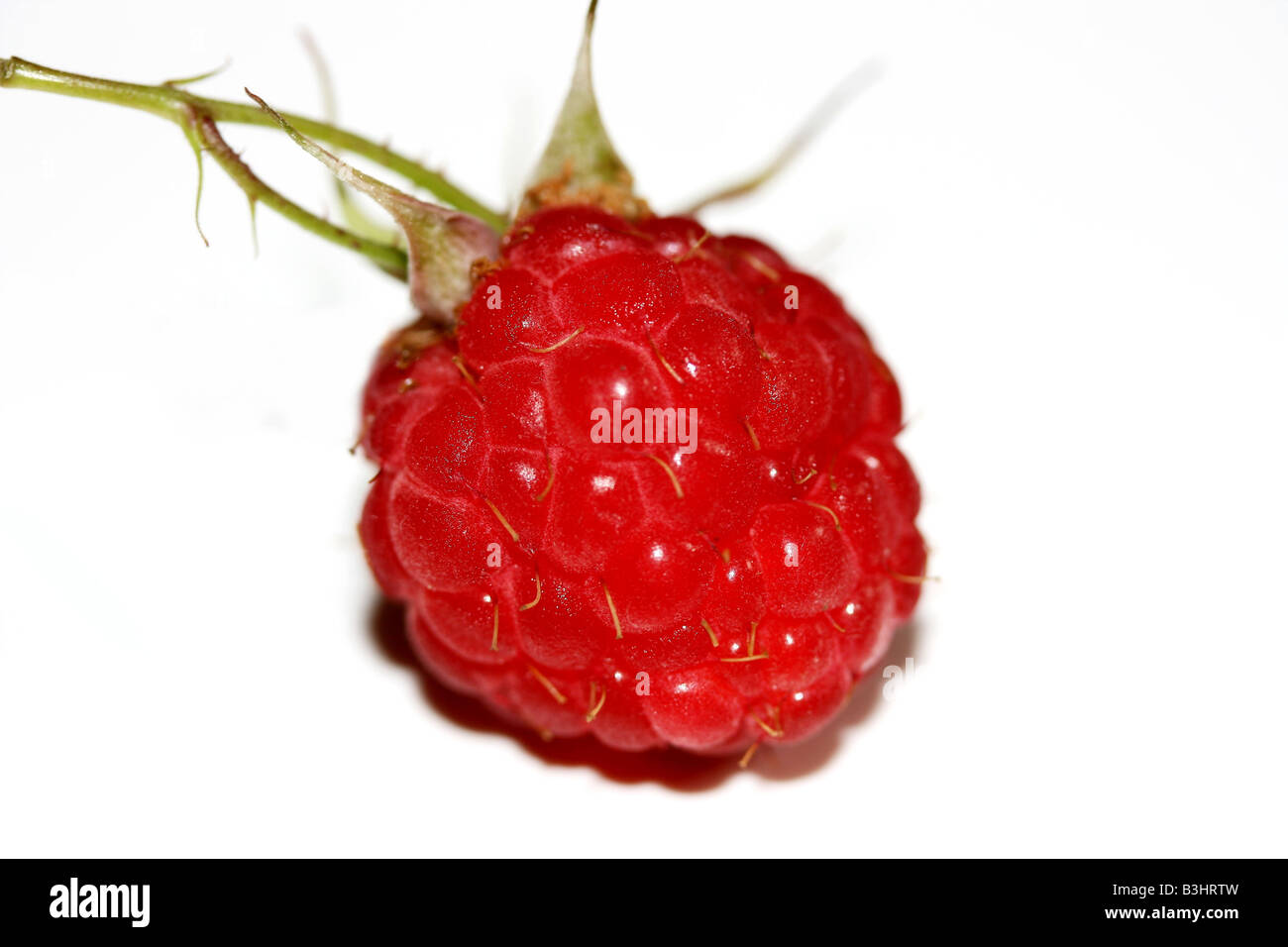 Red spring fruit Cut Out Stock Images & Pictures - Alamy