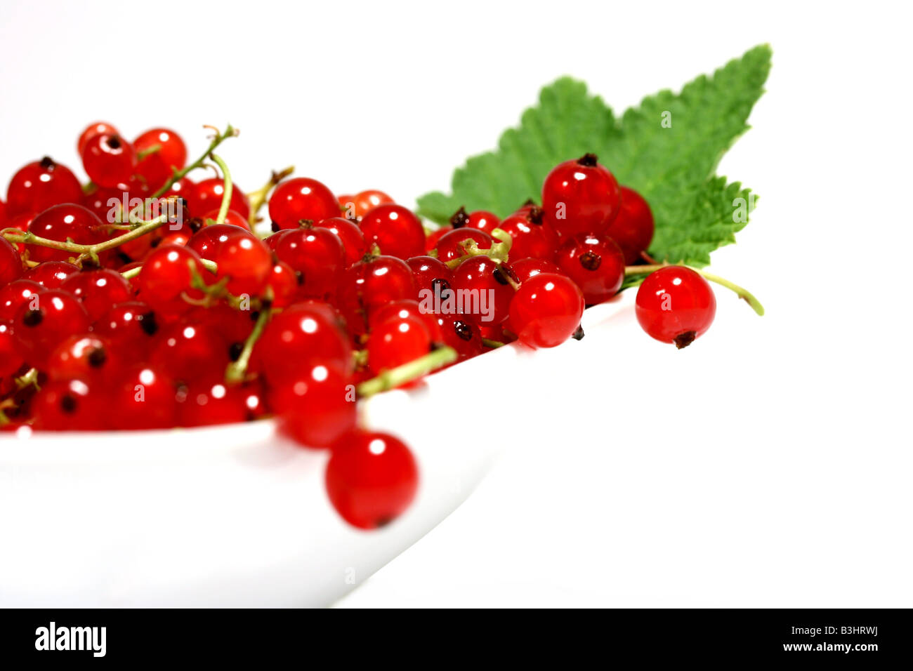 Healthy health grossulariaceae hi-res stock photography and images - Alamy
